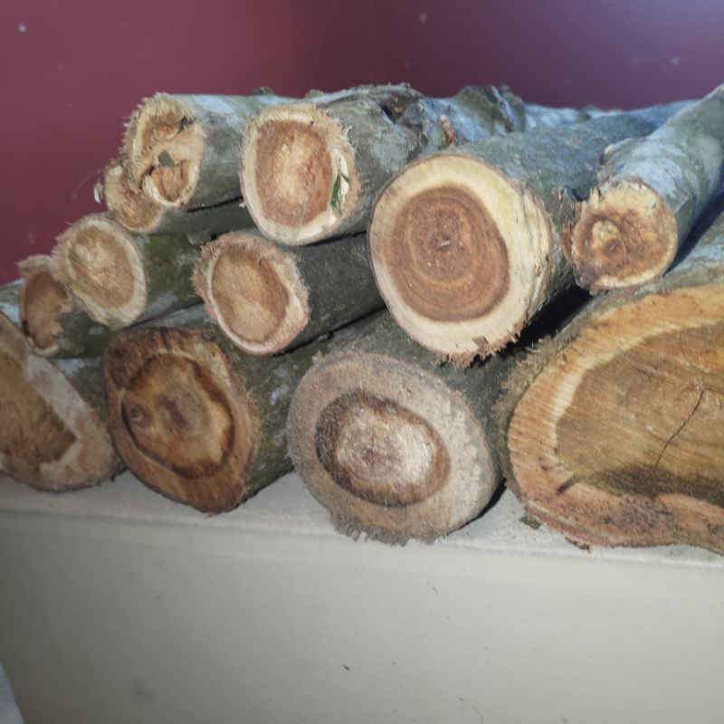 ketulan kayu,wood log, | Shopee Malaysia