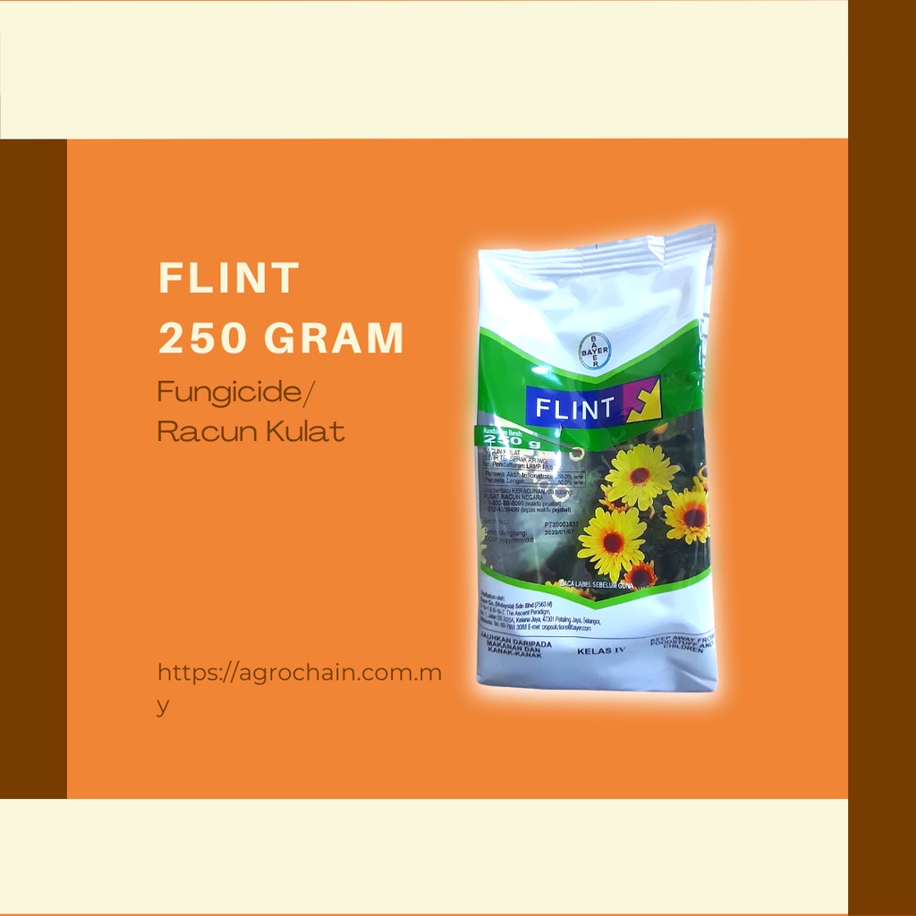 BAYER - FLINT 250 GRAM (RACUN KULAT/杀菌剂/FUNGICIDE) | Shopee Malaysia