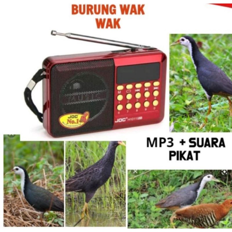 JOC RADIO SUARA PIKAT BURUNG JOC RADIO ORIGINAL MEMORI SUARA BURUNG ...