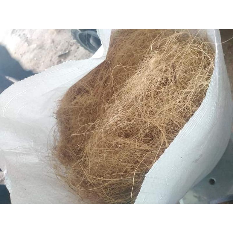 COCOFIBER(SABUT KELAPA) | Shopee Malaysia