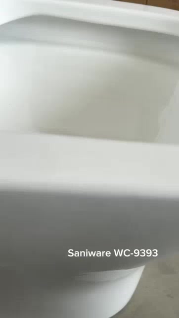 WC9393 Saniware One Piece Water Closet | Shopee Malaysia