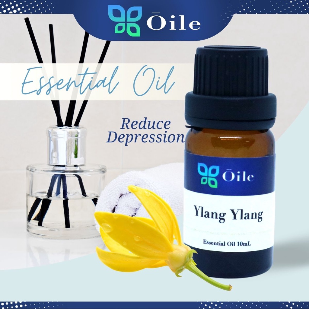 Ylang Ylang Essential Oil 10ml Aroma Scented Air Diffuser Aromatherapy ...