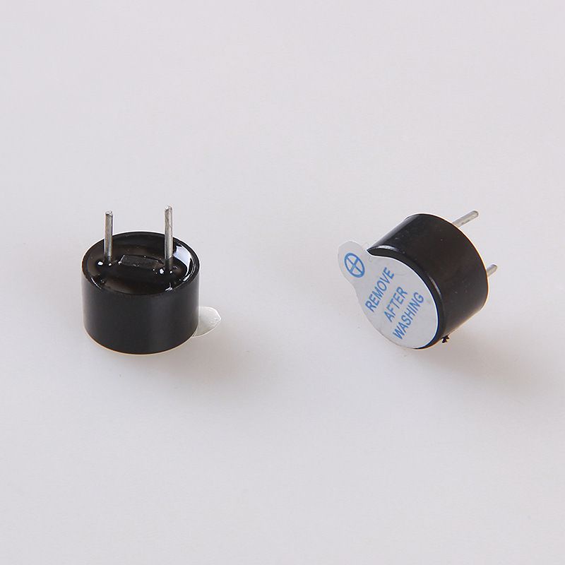 buzzer Butser 3v 5v 12v Small Size With 2 Pin | Shopee Malaysia