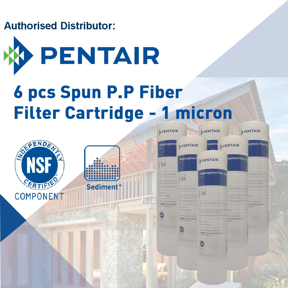 PENTAIR PENTEK P1-10-6 P-Series P1 Spun-Bonded PP Water Filter ...