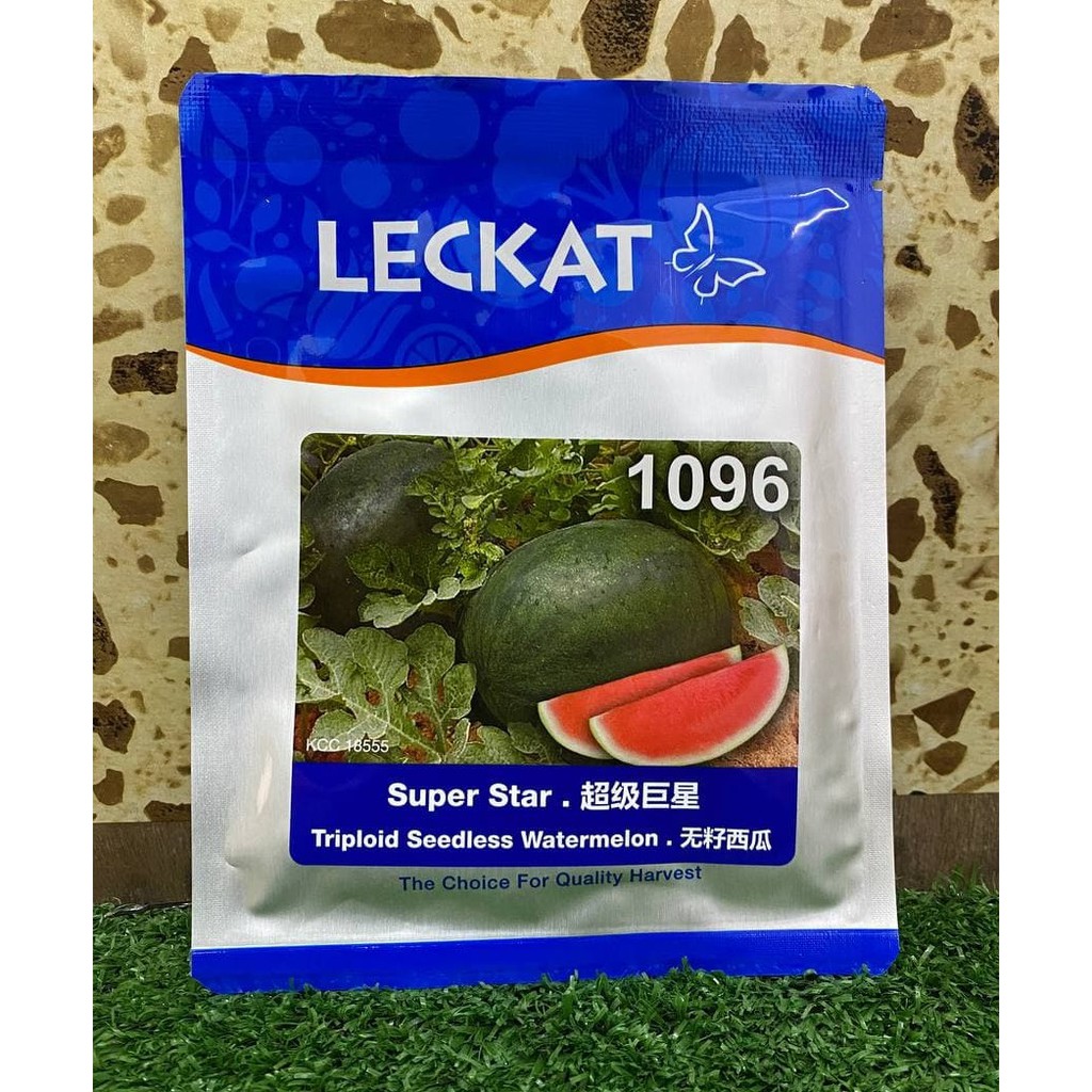 Benih Tembikai Merah Tanpa Biji Super Star LECKAT 1096 (20gm) | Shopee Malaysia