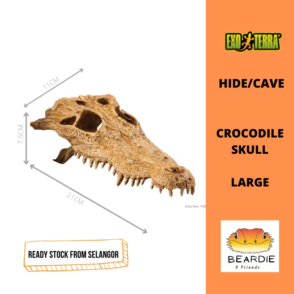 EXO TERRA CROCODILE SKULL LARGE HIDE CAVE REPTILE (PT2856) | Shopee ...