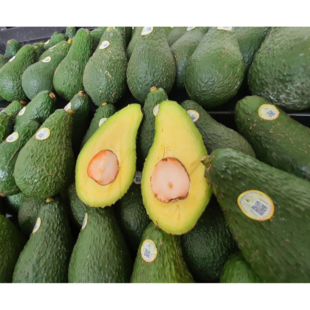 Vietnamese Pinkerton Avocado - 4 pieces a set | Shopee Malaysia