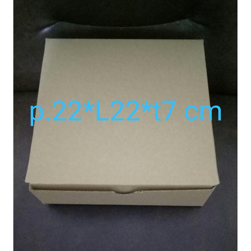 Cardboard BOX PLAIN PACKING WITHOUT ISOLATION STAPLES SIZE P 22 x W 22 ...