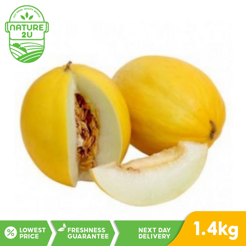 Nature2U Fresh Fruit - Melon - Sunmelon / Tembikai Emas / 太阳瓜 ( 1.4KG ...