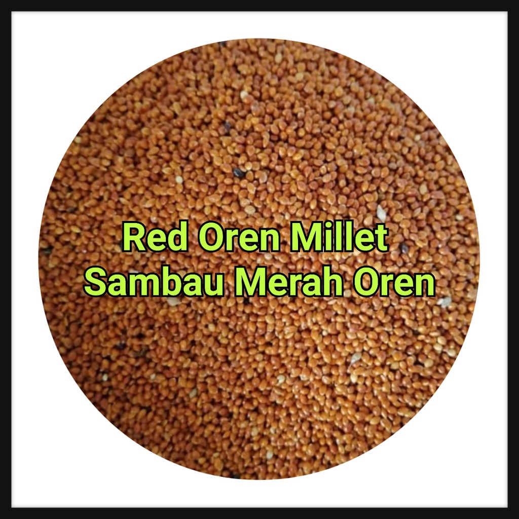 Sambau Burung 500g | Mixed Millet Bird Feed | Makanan Burung | Kambu ...