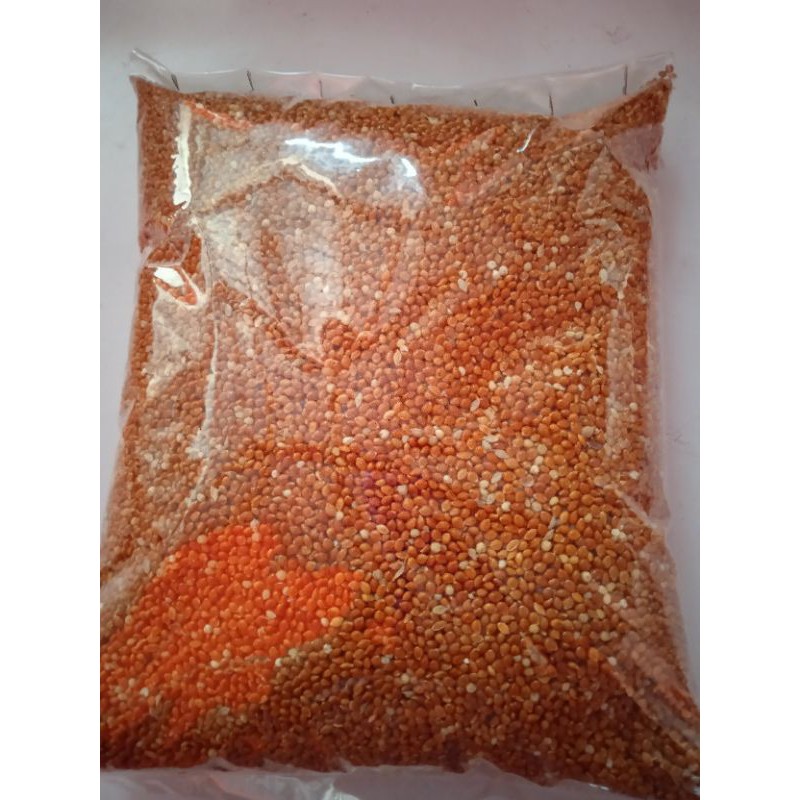sekoi merah makanan burung/1kg | Shopee Malaysia