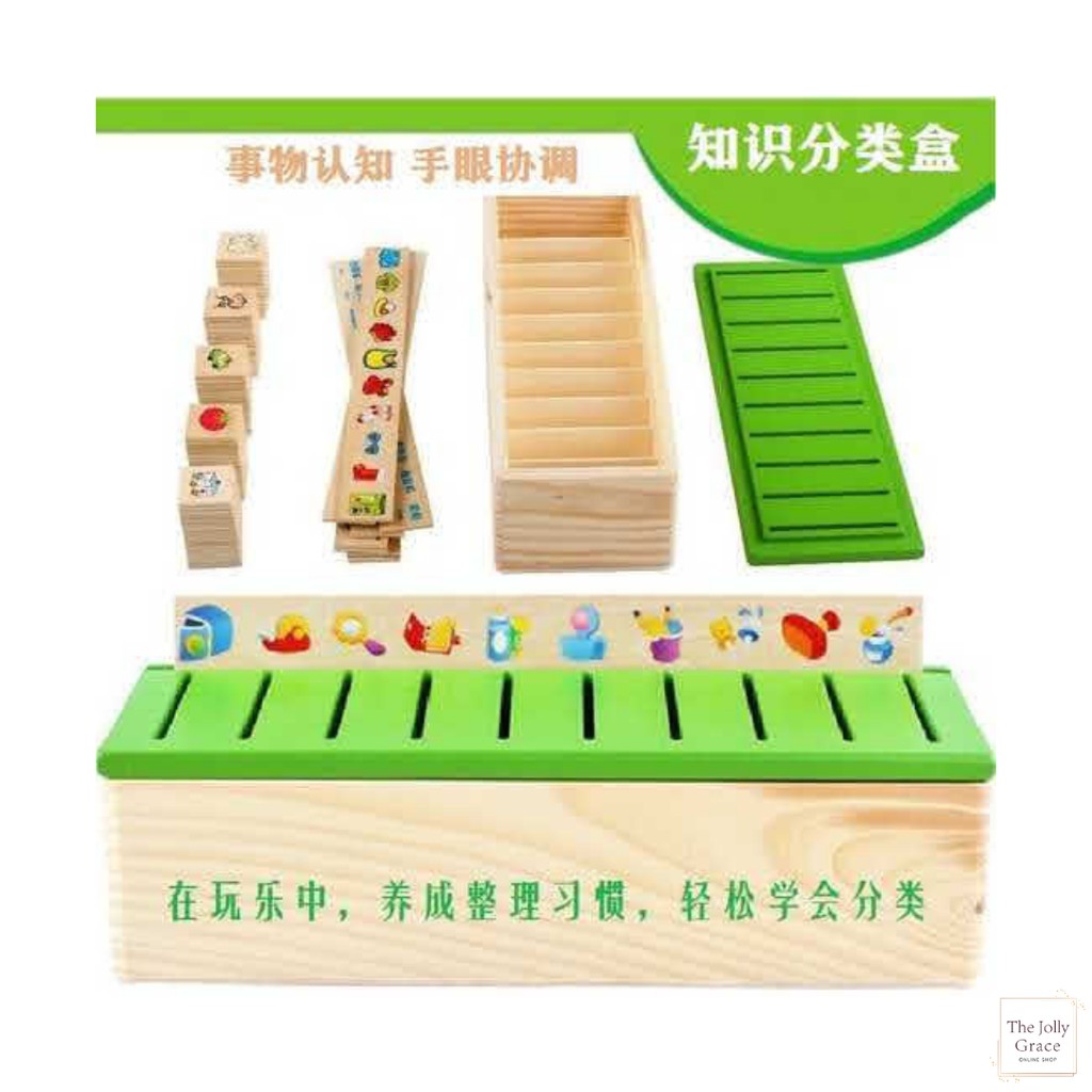 Montessori Education Toys Wooden Knowledge Classification Box 蒙特梭利 知识分类 ...