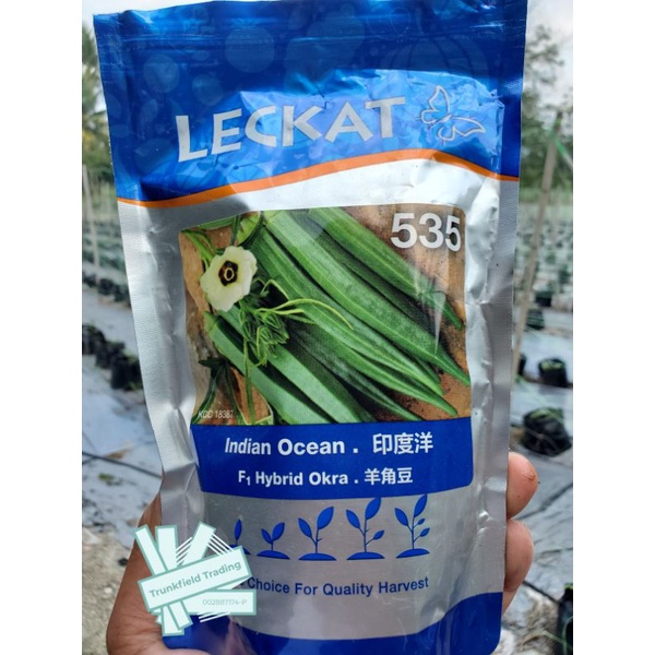 Benih Bendi buah lebat komersial Leckat 535 Indian Ocean (repack ...