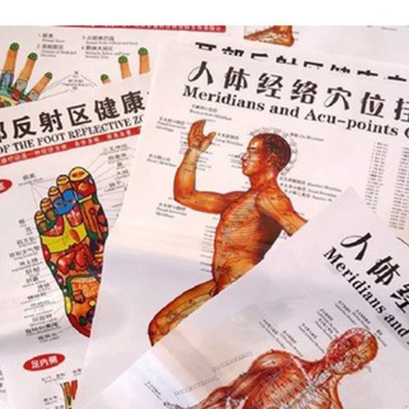 Crazyi 7 Sheets Body Acupuncture Meridian Acupressure Points Posters ...