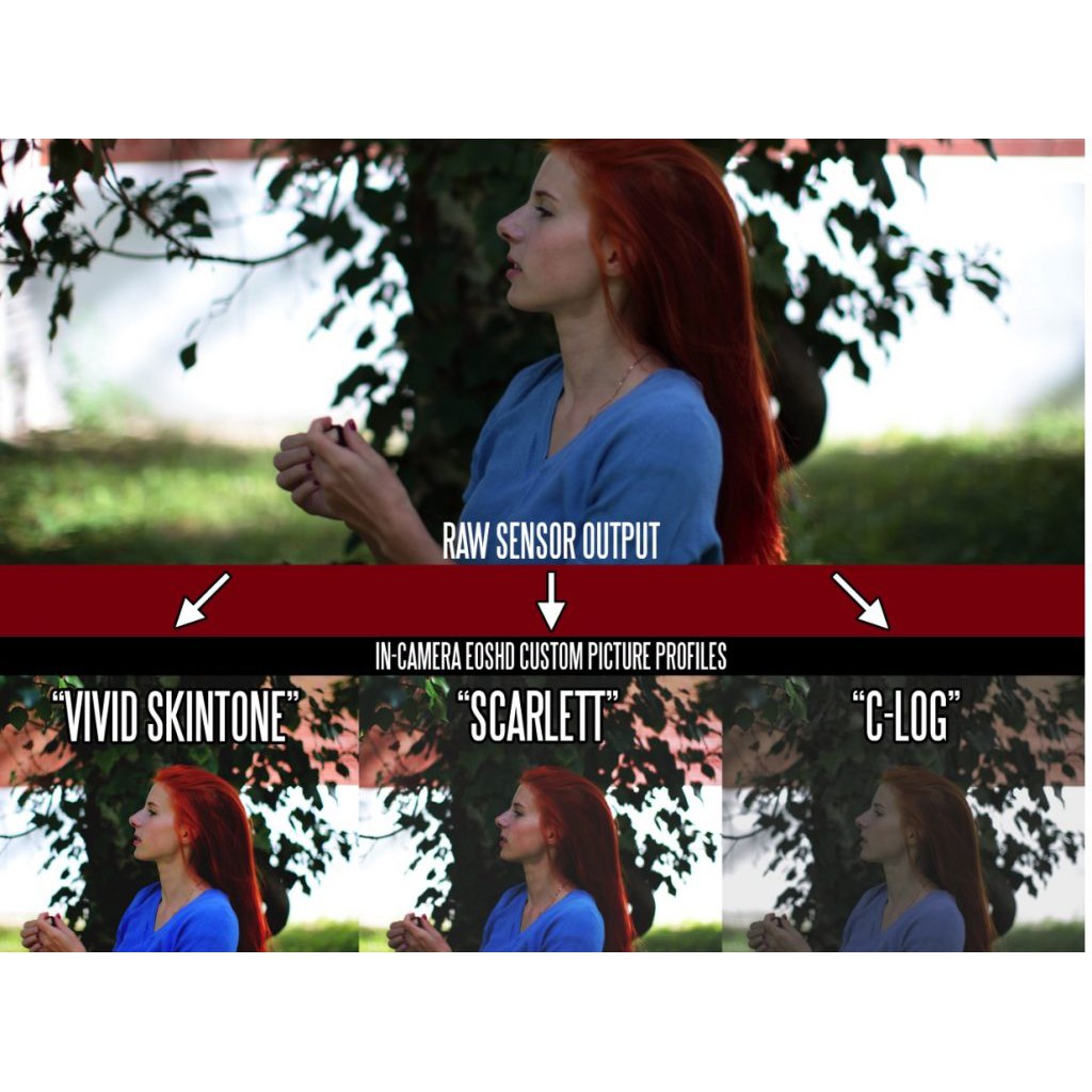 EOSHD C-LOG-and-Film-Profiles for CANON + LUT [download] | Shopee Malaysia