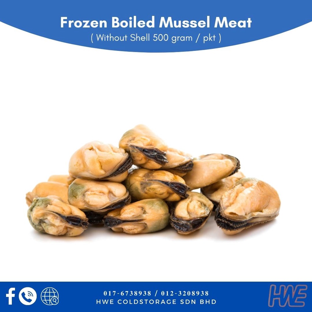 Frozen Boiled Mussel Meat 500g± | Isi Kupang | 冷冻青蠔肉 | Shopee Malaysia
