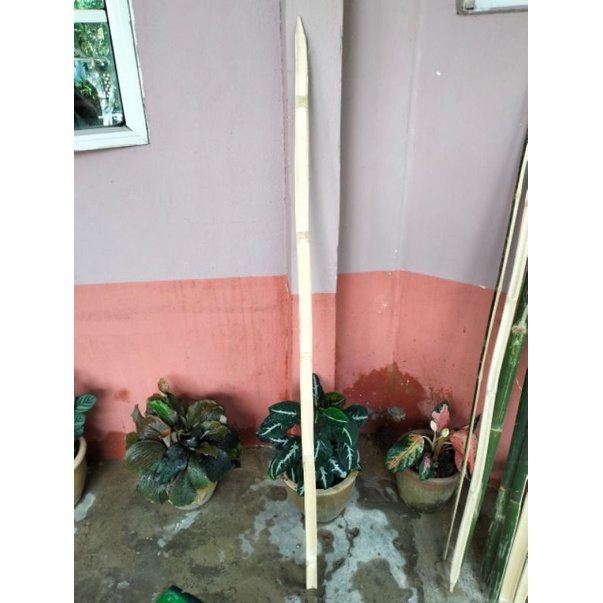 buluh pancang panjang 150cm (1 batang) | Shopee Malaysia