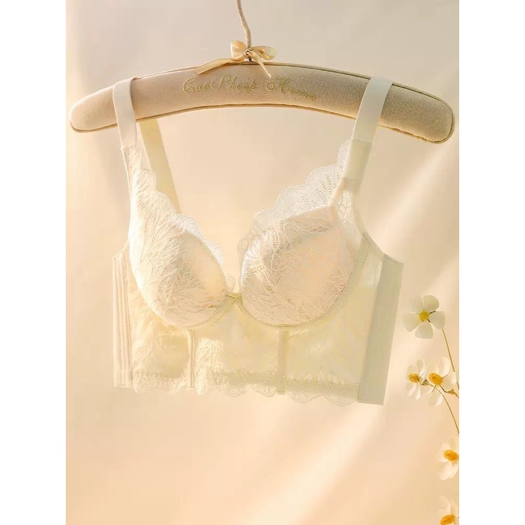 ELODIE's Alexis BCD Cup Wireless Corset Brassiere｜Alexis 系列大胸显小无钢圈马甲内衣 | Shopee Malaysia
