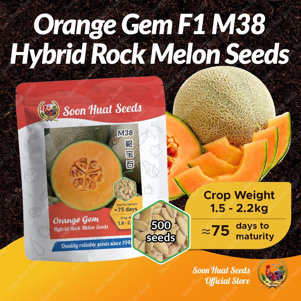 [10g] M38 Benih Melon Orange Gem Soon Huat Seeds | Shopee Malaysia