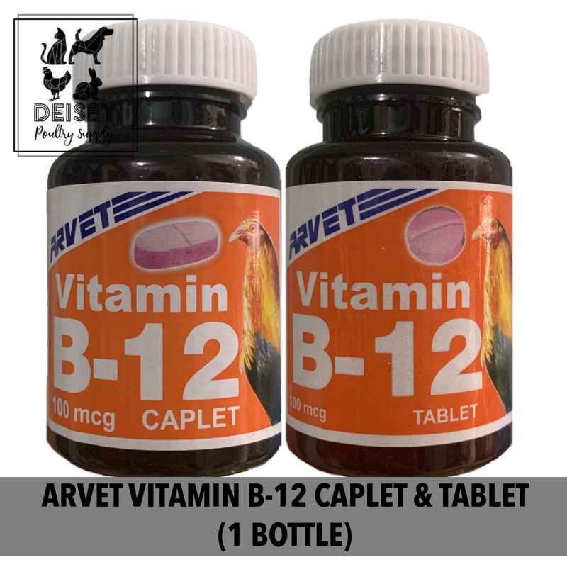Arvet Vitamin B12 Caplet Haba / B12 Tablet Bilog (1 BOTTLE) | Shopee ...