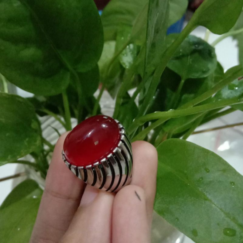 Red Baron agate Ring Guaranteed Original | Shopee Malaysia