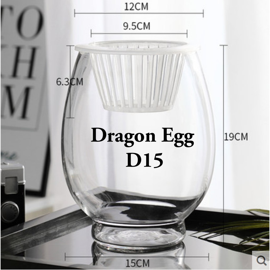 Pasu Kaca bulat Glass Vase Goose egg shape hydroponic vase pasu bunga ...