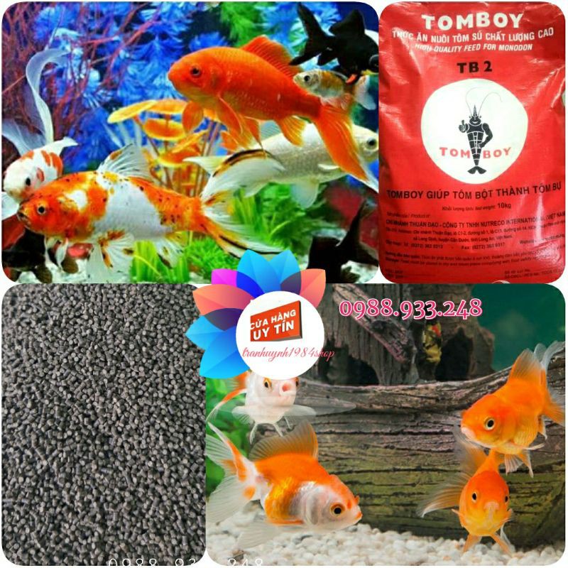 Tomboy TB2 sinking bran for Goldfish and Ranchu fish | Shopee Malaysia