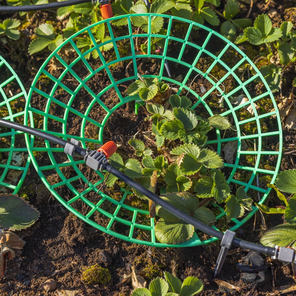 [In Stock]Pergolas Support Frames Stand Strawberry Supports Home Vine ...