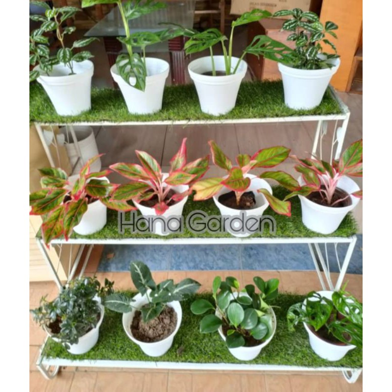 🔥NEW🔥 Pasu Plastik Putih Flower Pot Murah dan Tebal Hiasan Laman Hana ...