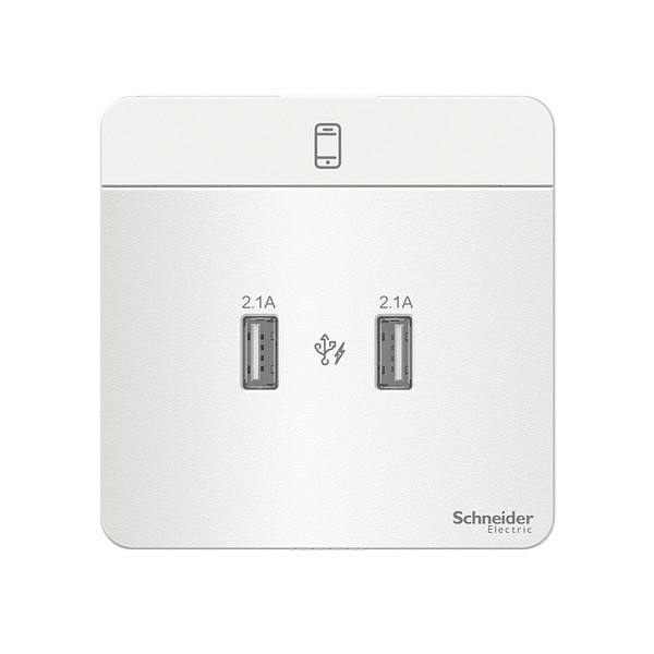 Schneider AvatarOn 2 Gang 2.1A USB Wall Charger | Shopee Malaysia