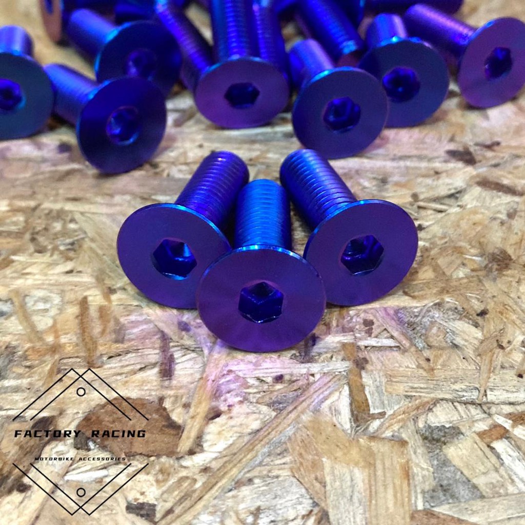 Titanium Screw Counter Sunk - M8 x 25 (1 pcs) | Shopee Malaysia