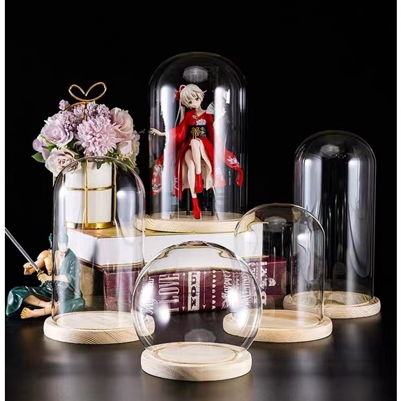 Glass Dome Classic/Flower Dome/Imported Glass Dome/Transparent Glass ...