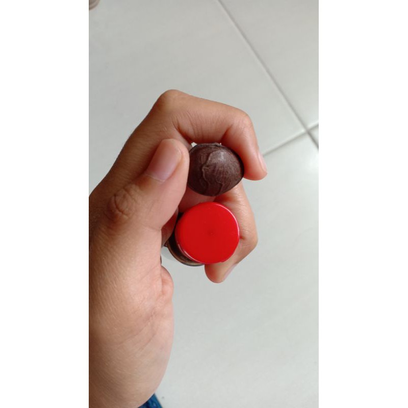 BIJI BENIH SACHA INCHI GRADE AAA 70 biji. | Shopee Malaysia