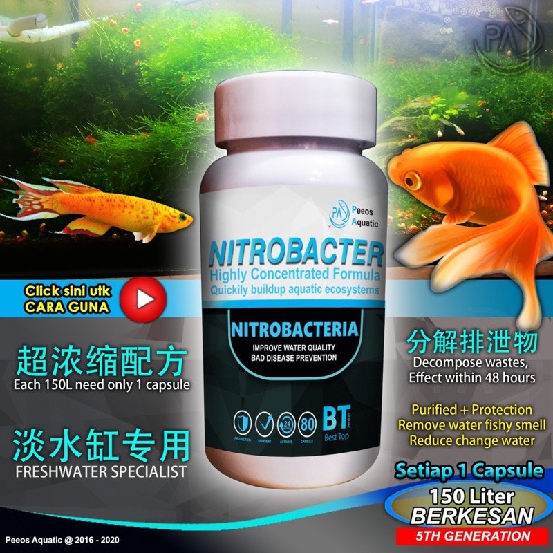 PA Nitrobacter 5th Generation Concentrated Nitrobacteria Formula ...