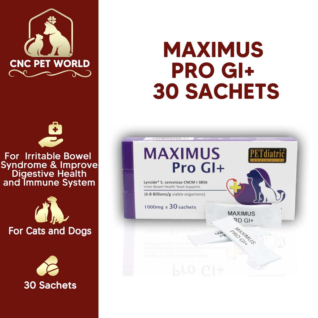 PETdiatric MAXIMUS PRO GI+ 30Sachets/Box | Probiotics | For Cats and ...