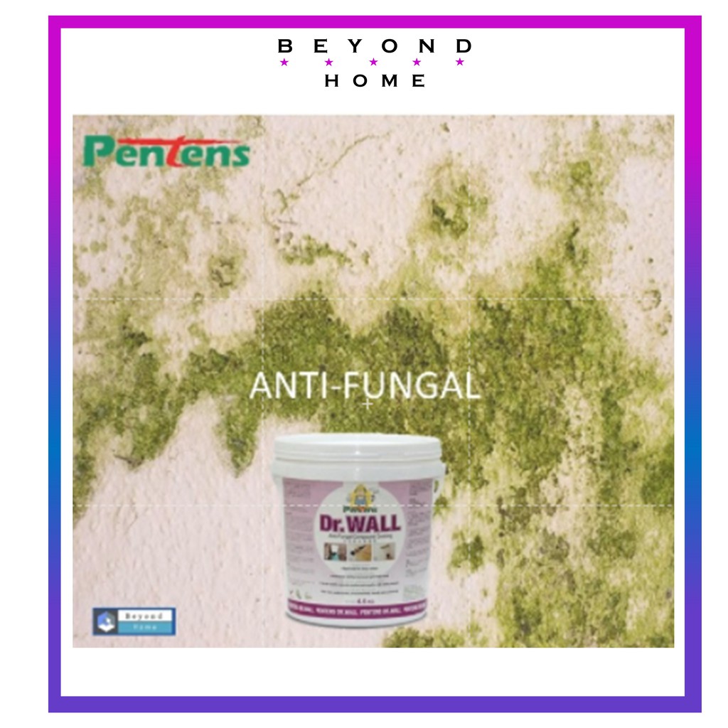 Pentens Dr.wall Anti-fungal Waterproofing Coating Repair Wall Paint ...