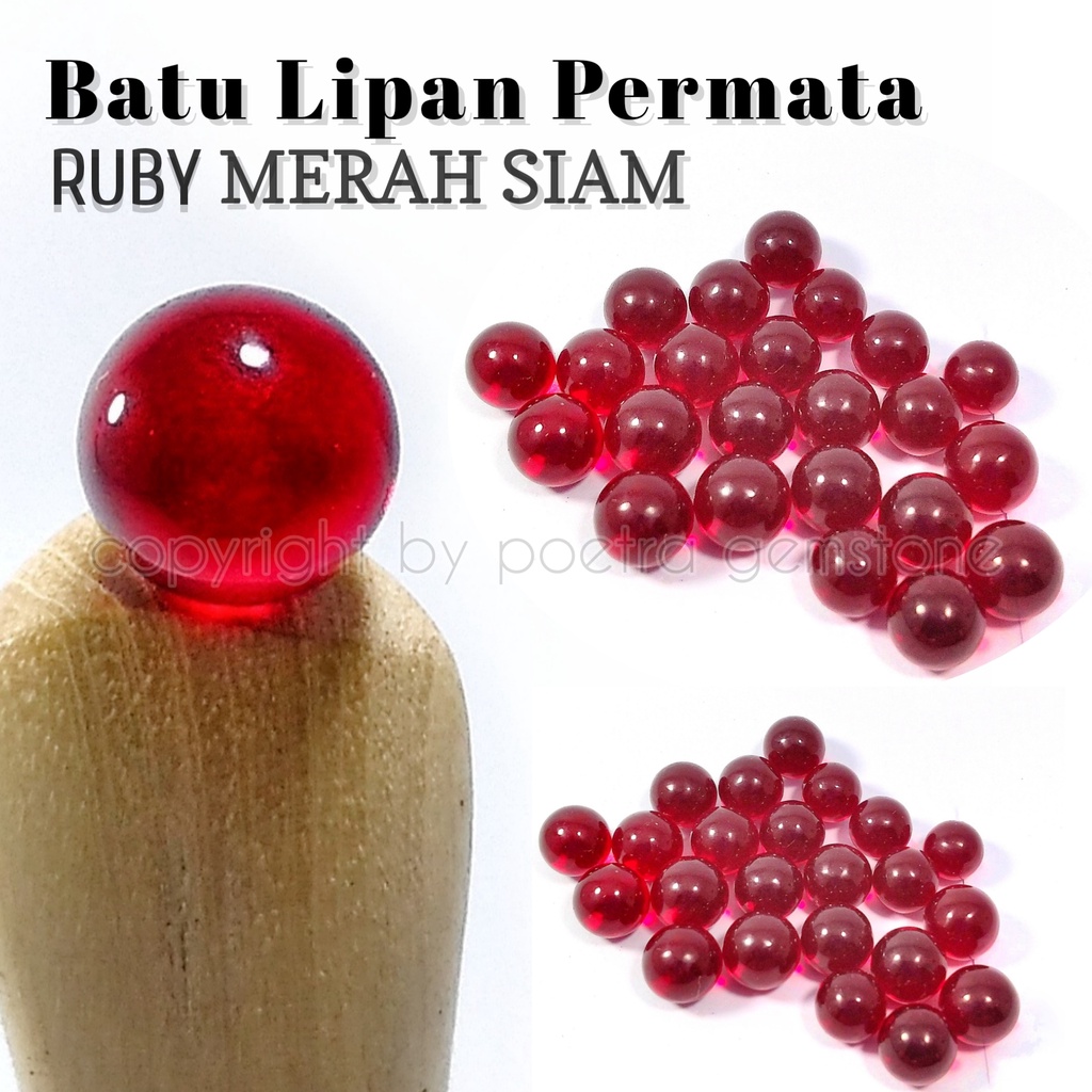 MERAH Siam Red Ruby Gemstone Centipede | Shopee Malaysia