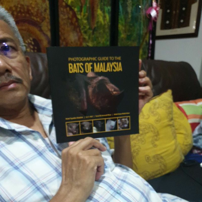 Photographic guide to the Bats of Malaysia | Shopee Malaysia
