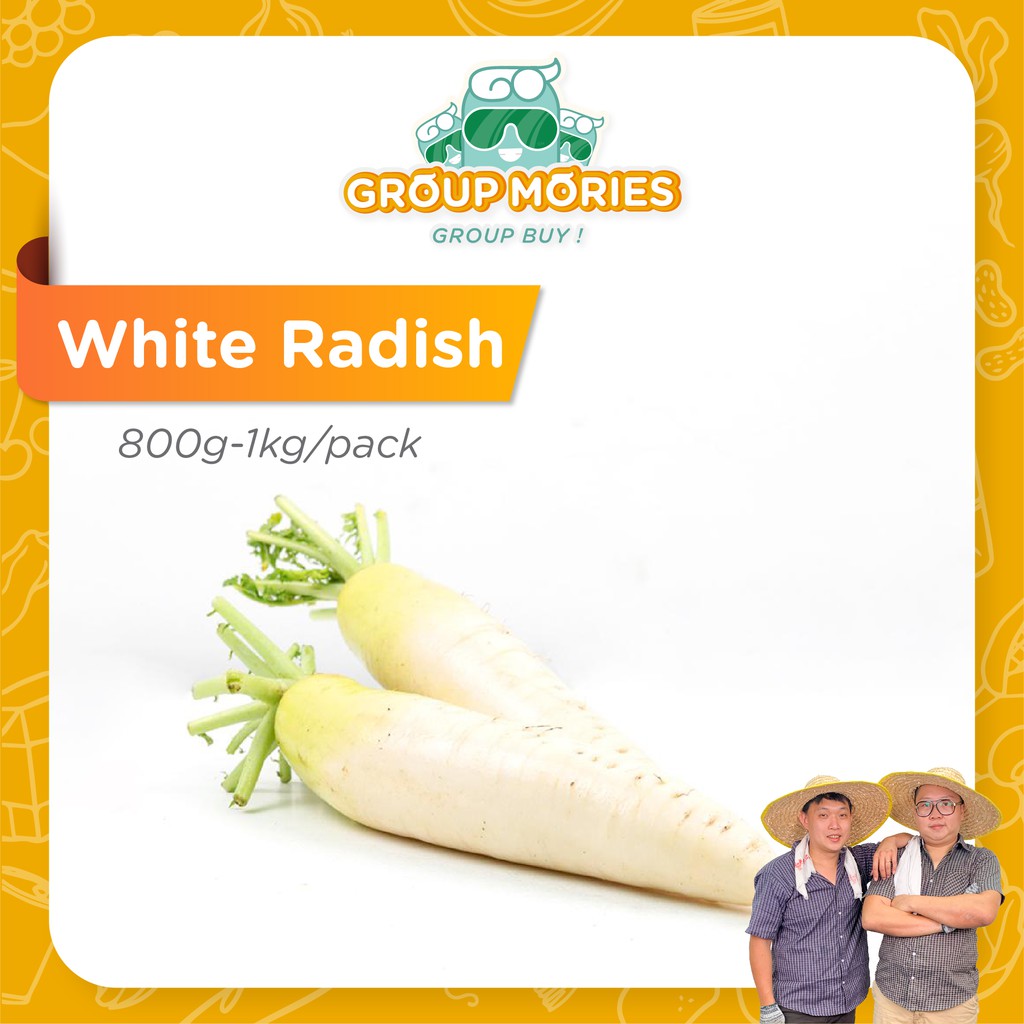 White Radish / Lobak Putih / 白萝卜 800g-1kg/pack | Shopee Malaysia