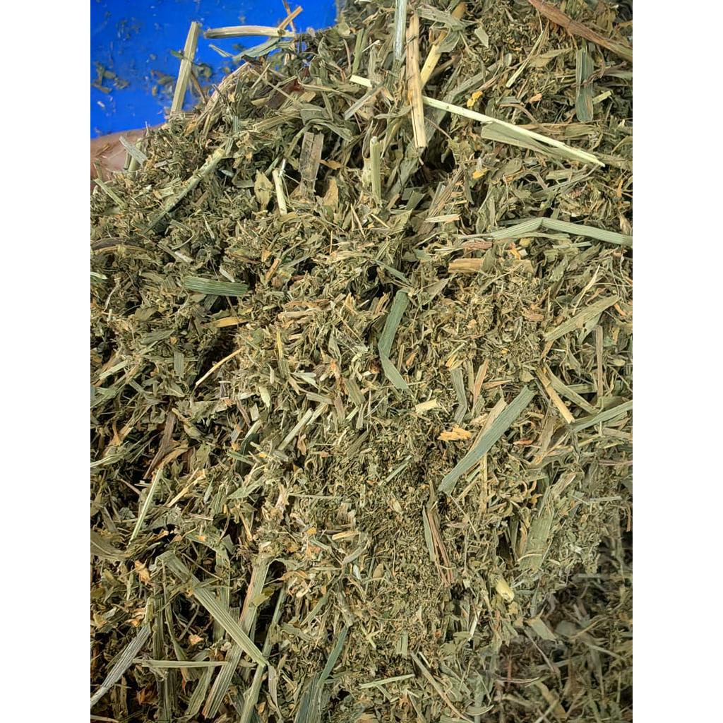 CRUNCH TIMOTHY HAY POWDER 1KG Suitable all tortoise/Sulcata/Star ...