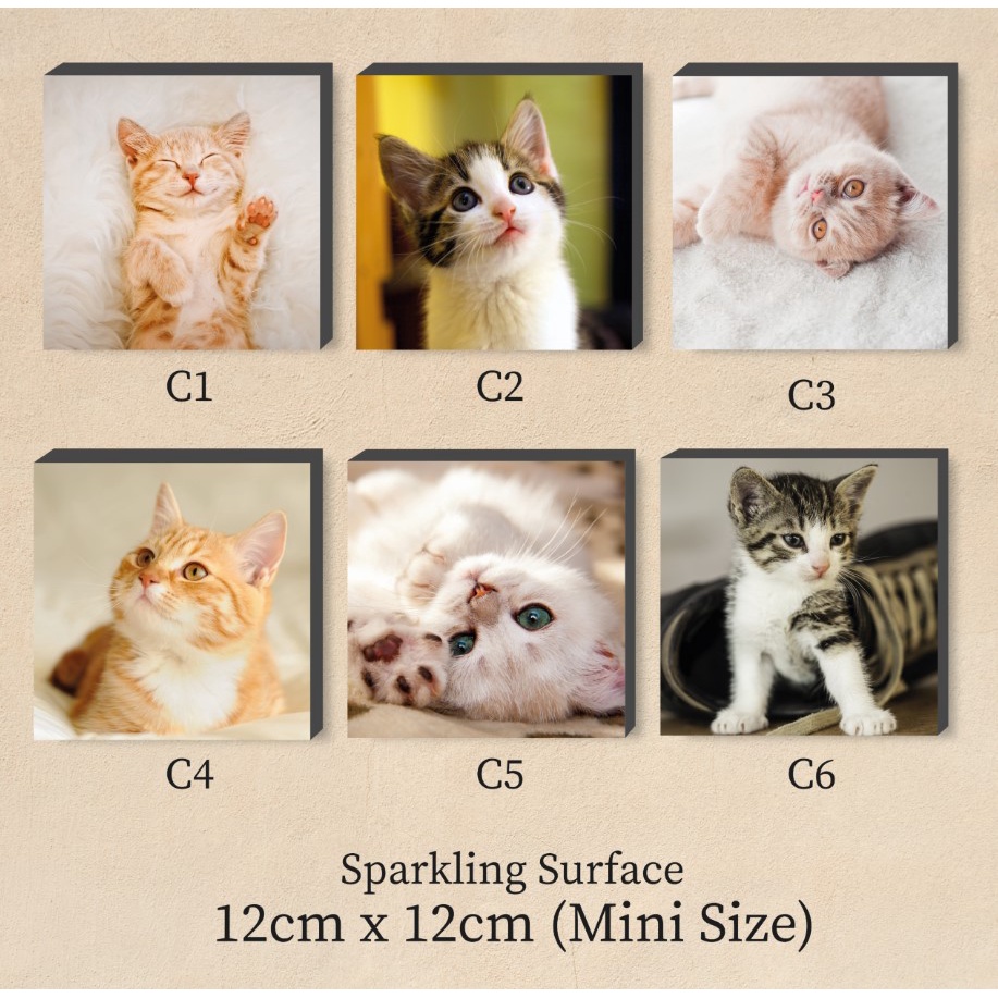 Cute Cat Mini Frame / Wall Decoration (Frame/canvas) 12cm x 12cm ...