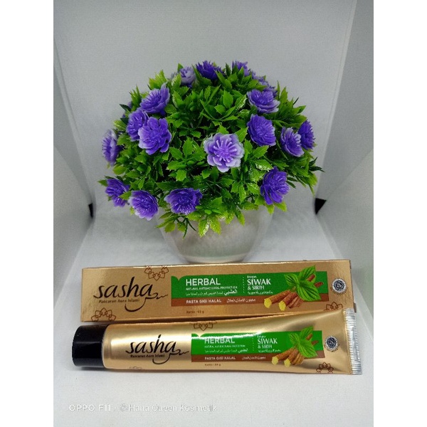 Sasha Toothpaste 65 gr | Shopee Malaysia