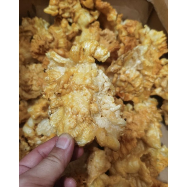 砂劳越本地自炸鱼漂 / 鱼肚 / 鱼鳔 Fried Fish Maw / Fried Fish Stomach【100g】 | Shopee ...