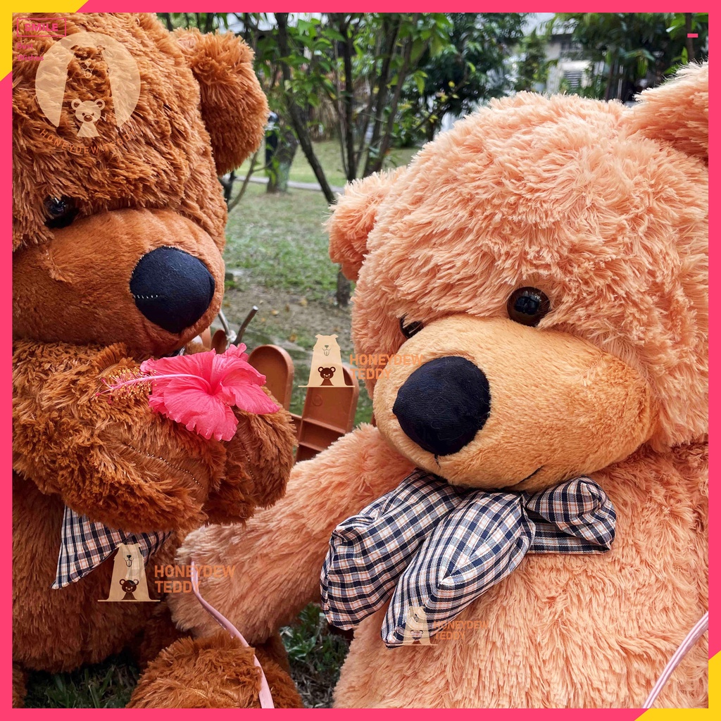 [KL STOCK] 100cm110cm (1m) Giant Teddy Bear Besar Murah Soft Toy ...