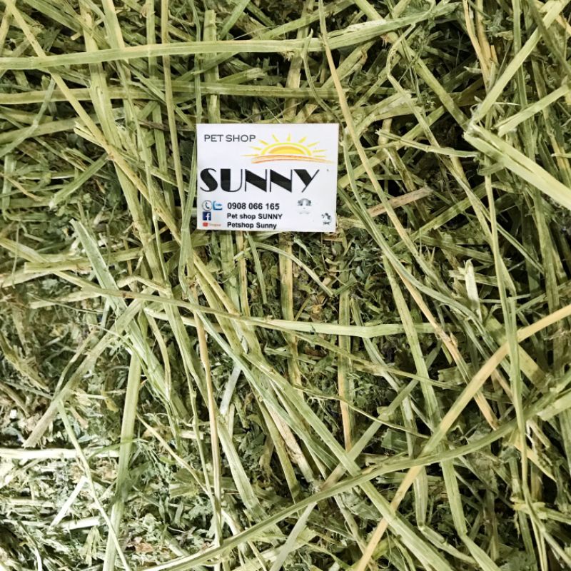 Dried Grass For Rabbits, American Alfalfa Bugs 1kg | Shopee Malaysia