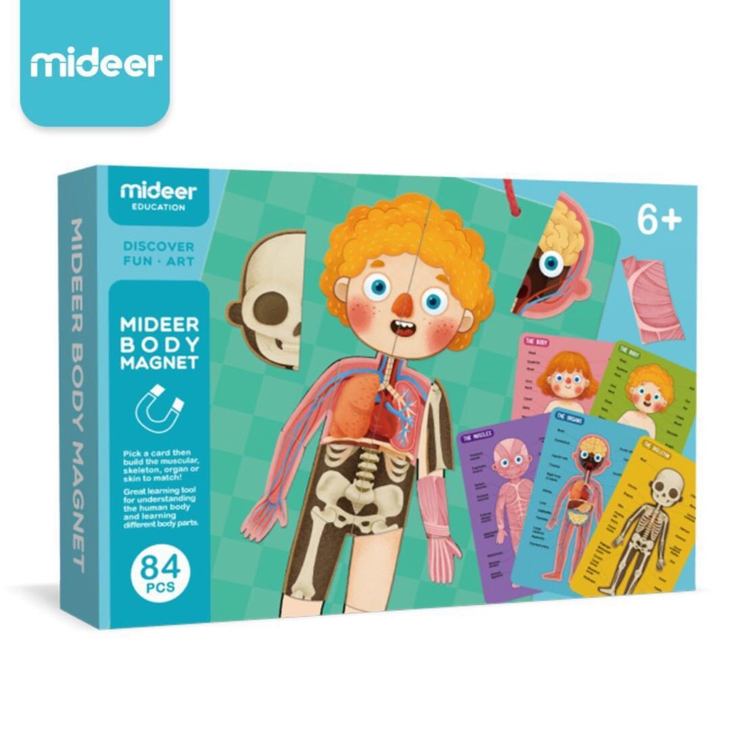 MIDEER Body Magnet (Educational Toys for Kids) | Shopee Malaysia