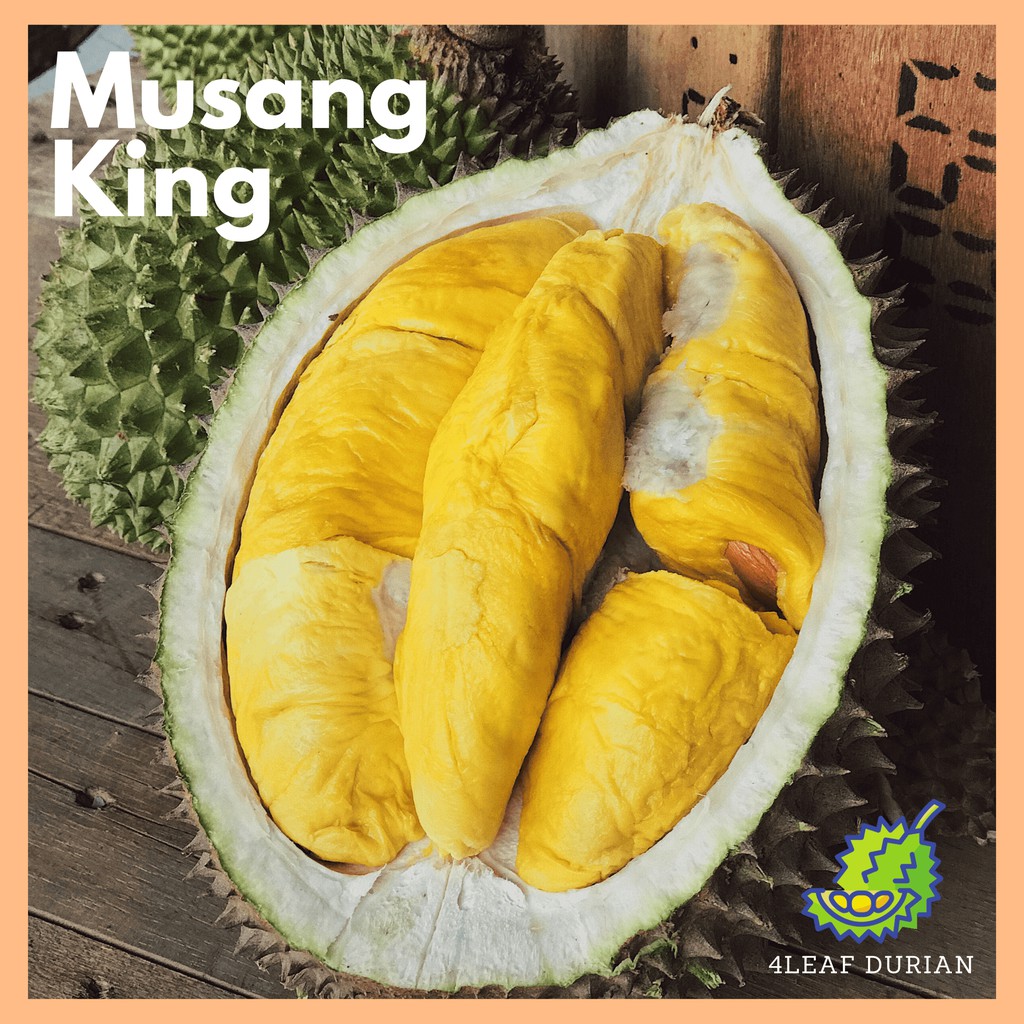 100% Grade A Fresh Musang King Box (300g) | Shopee Malaysia