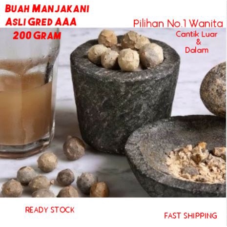 🌹READY STOCK🌹 Manja Kani (200G) Raw Buah Manjakani gred AAA Quercus ...