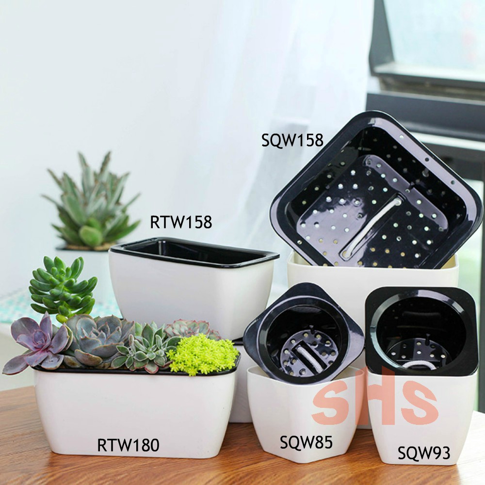Mini & Small Square Self Watering Pot 多肉花盆 Pasu Kaktus Hydroponic Pot ...