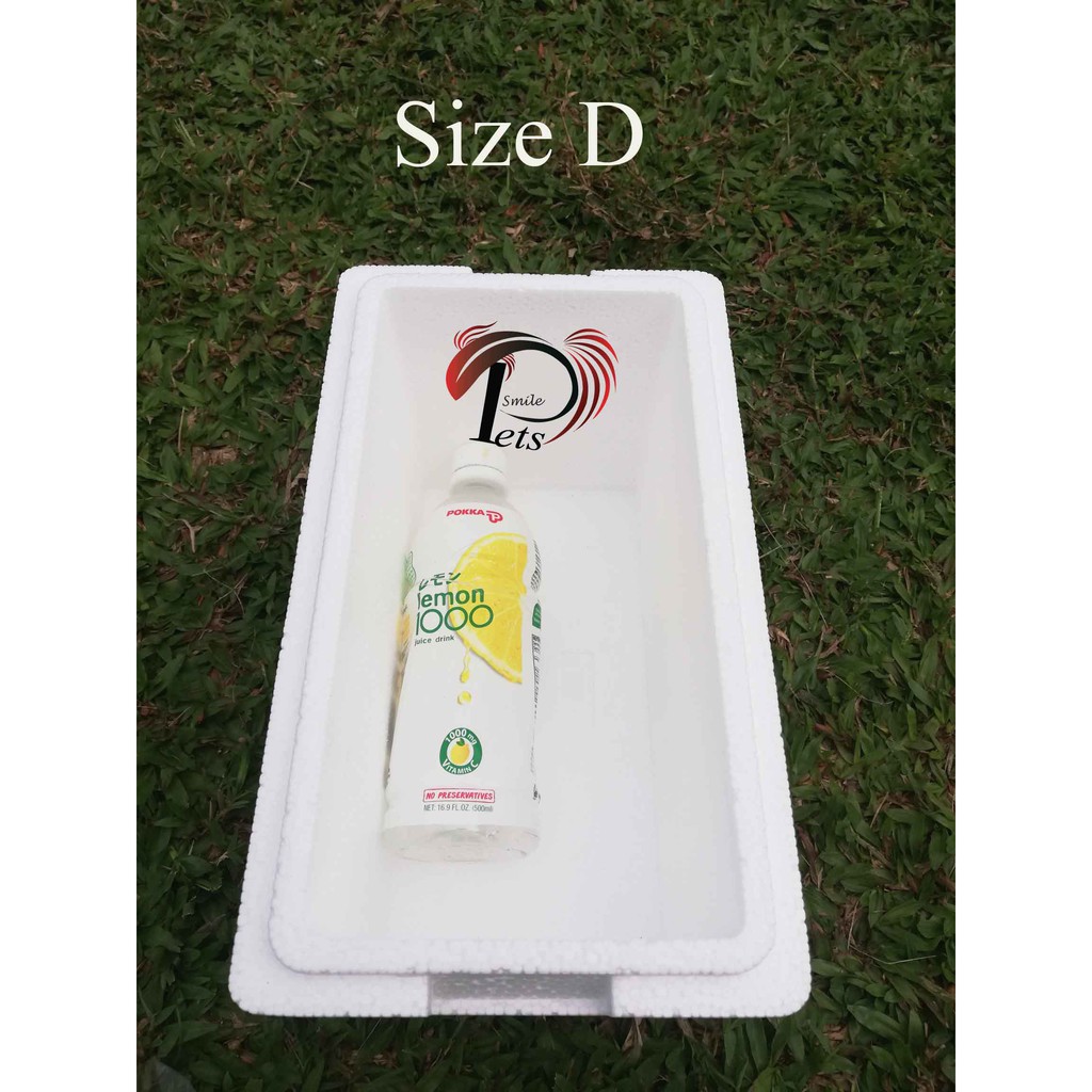 Kabus/Polystyrene Box/Foambox/Gabus/Good Day Foam/Betta/Shipping Box ...